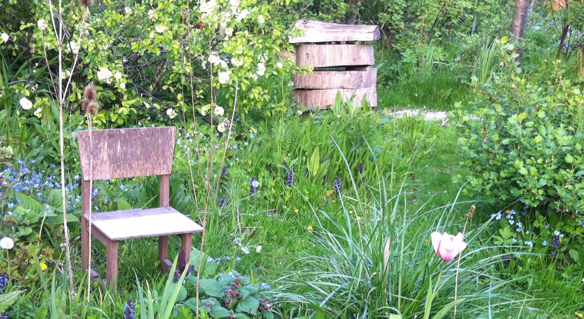 Ecologisch tuinontwerp Rotterdam - TUINEN - De Stadstuinier